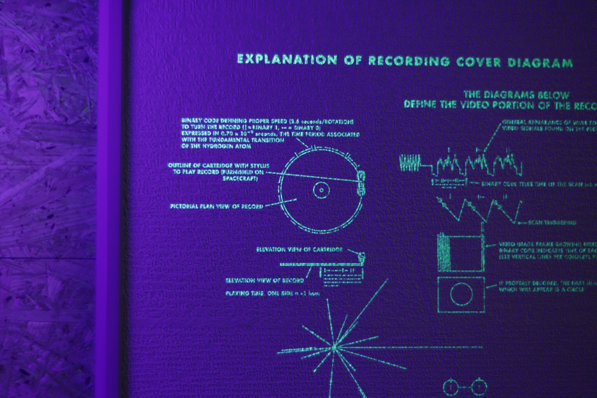 蛍光プリント 作品例5選ご紹介！ | FLATLABO（フラットラボ）プロ品質の写真プリントや額装を手がけるプロラボサービス