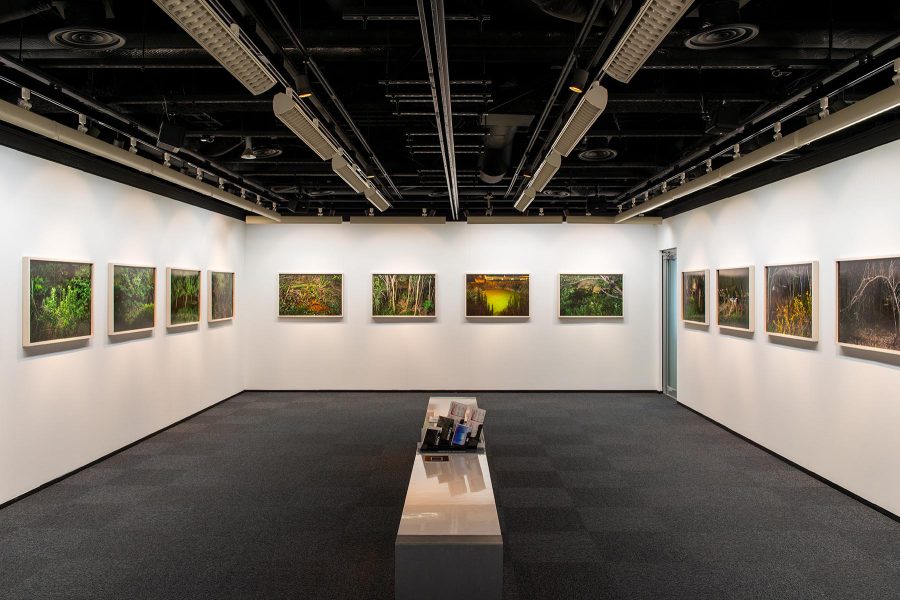 FLAT LABOのはじまり | FLATLABO（フラットラボ）プロ品質の写真プリントや額装を手がけるプロラボサービス